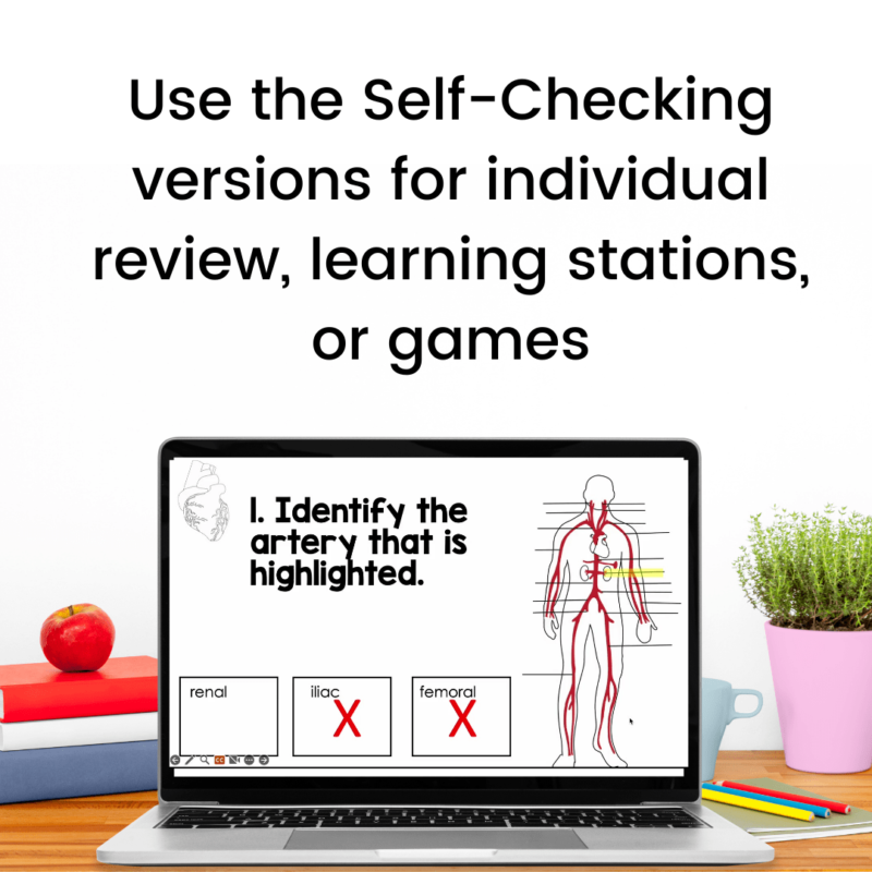Circulatory System Labeling Activity – Task Cards and More – The ...