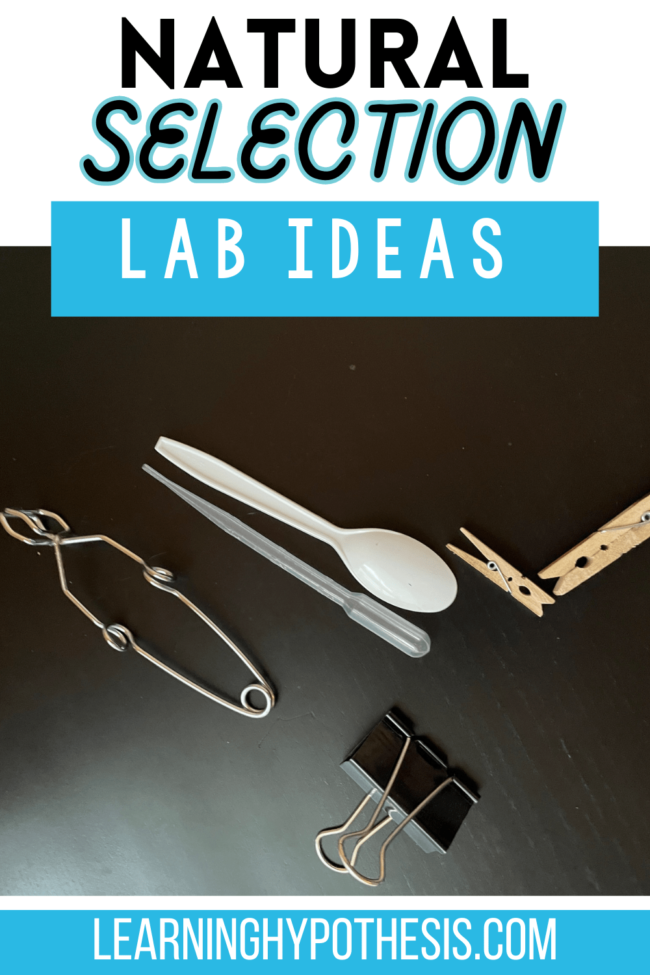 Natural Selection Lab