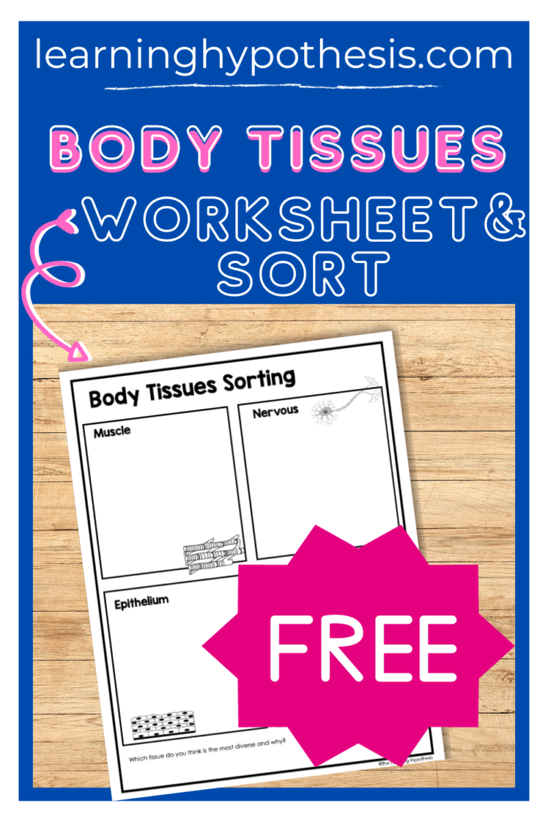 Body Tissues Worksheet with a Twist! – The Learning Hypothesis