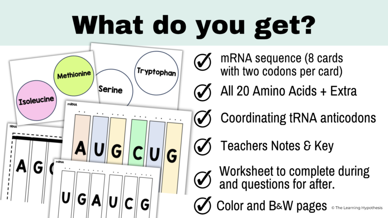 Translation Role Play: Be a tRNA. Transcription and translation ...